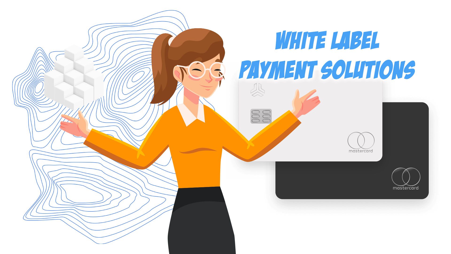 Complex Payment Solutions based on the White Label Model